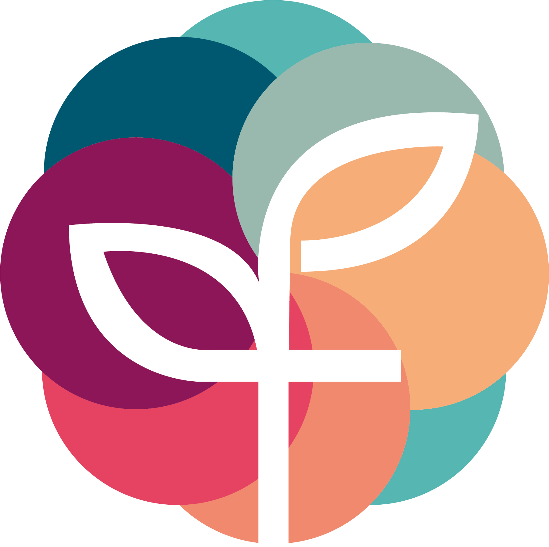 Voorwaarden en vergoedingen 2025 | Care4Life